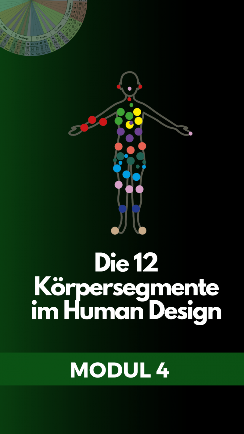 Human Design Health Guide – Phoenix Human Design – Coach ...